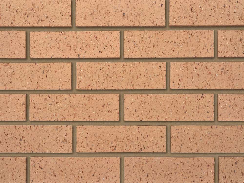 65mm Ibstock Earlswood Textured Buff Brick - Per Pack 400